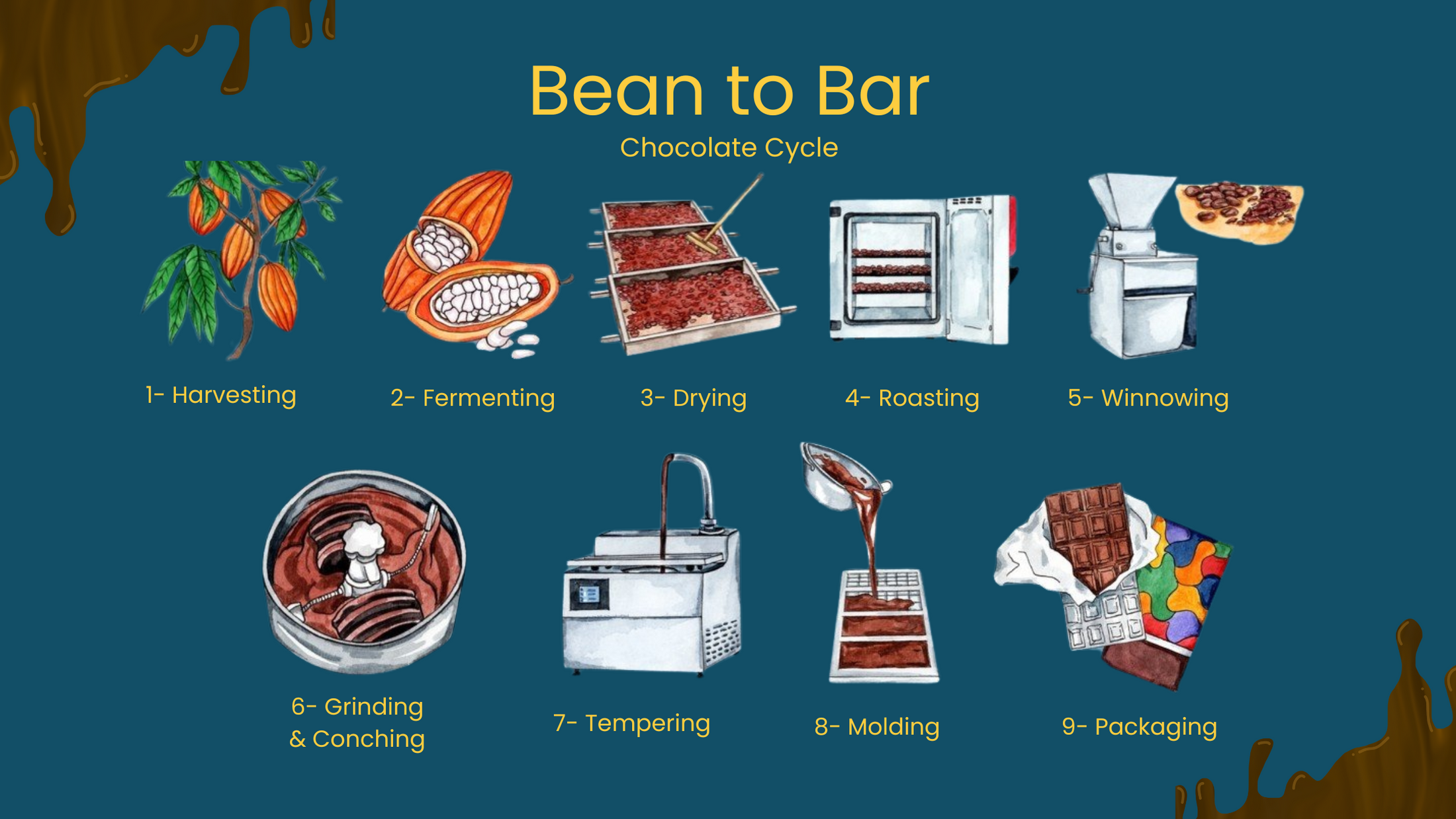 The Art of Chocolate Making – Chocolate Quetzal